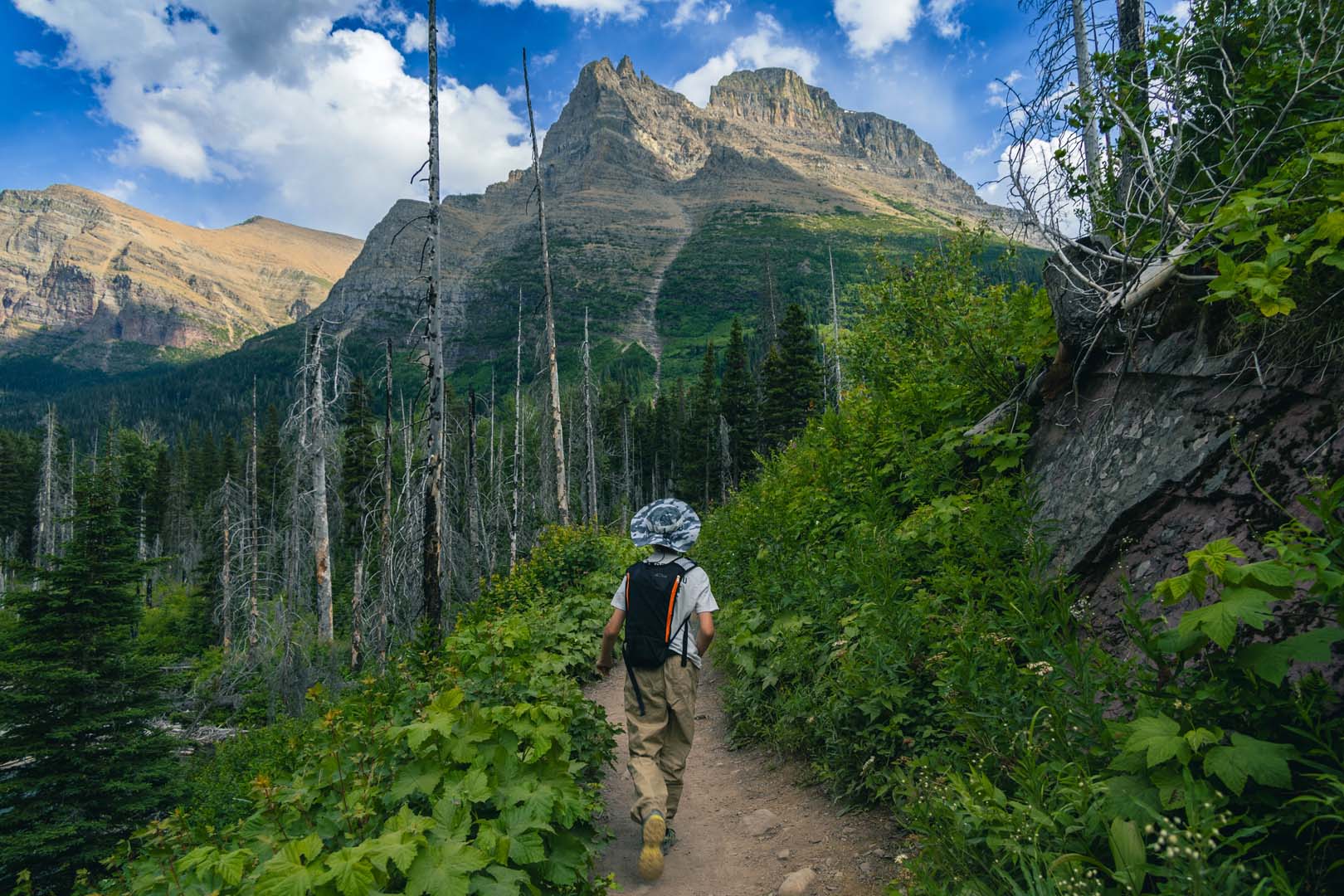 Tripsta - Your Trip Statistics Application. Download now!